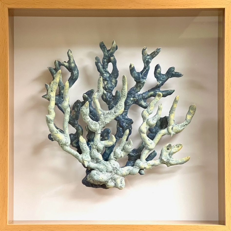 Ceramic Coral #4 - Sol Contardo - Martine Gallery